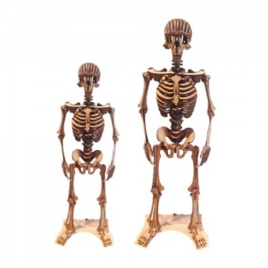 Standing Skeleton - MDF or Birch Ply Wood Kit